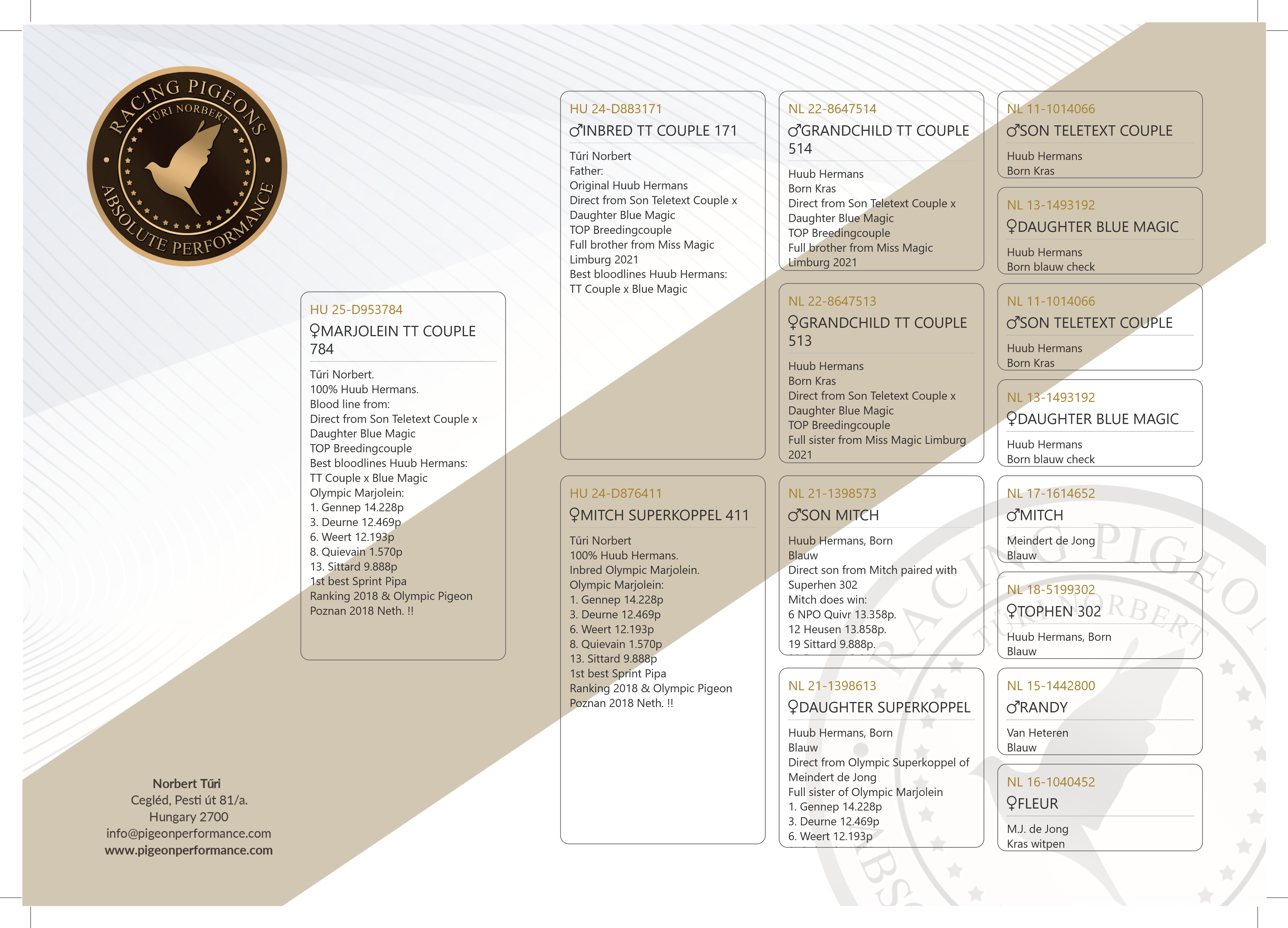 MARJOLEIN TT COUPLE 784 - Pigeon Performance